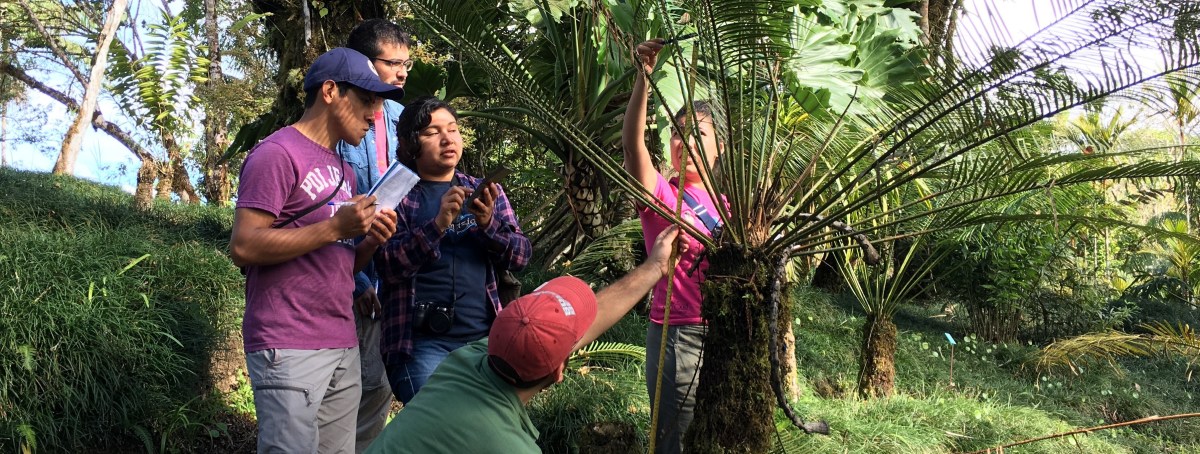 Students | ROJAS•LAB